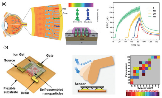 Low-Dimensional-Materials-Based Flexible Artificial Synapse: Materials, Devices, and Systems