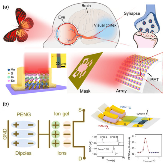 Low-Dimensional-Materials-Based Flexible Artificial Synapse: Materials ...