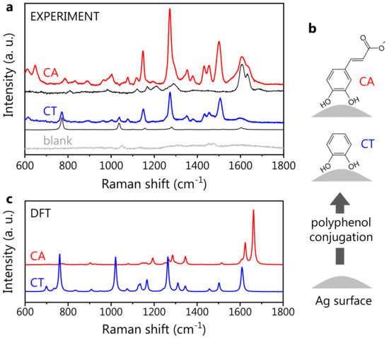 Nanoscale Surface-Enhanced Raman Spectroscopy Investigation of a ...