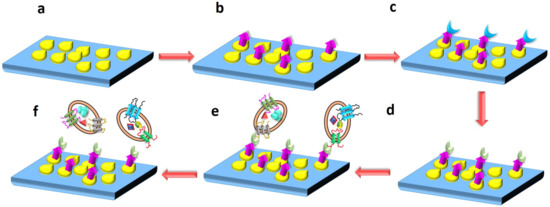 Isolation of Exosomes from Human Serum Using Gold-Nanoparticle-Coated ...