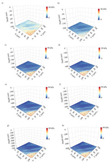 3D AFM Nanomechanical Characterization of Biological Materials