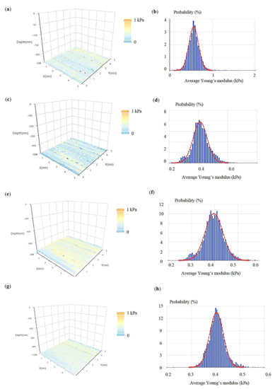 3D AFM Nanomechanical Characterization of Biological Materials