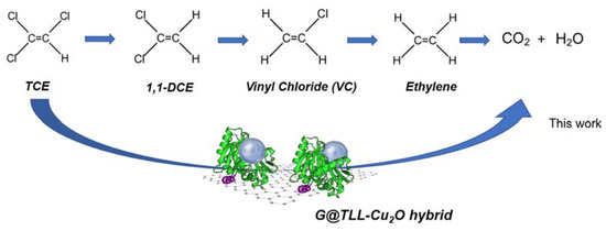 Graphene-TLL-Cu2ONPs Hybrid as Highly Efficient Catalyst for ...