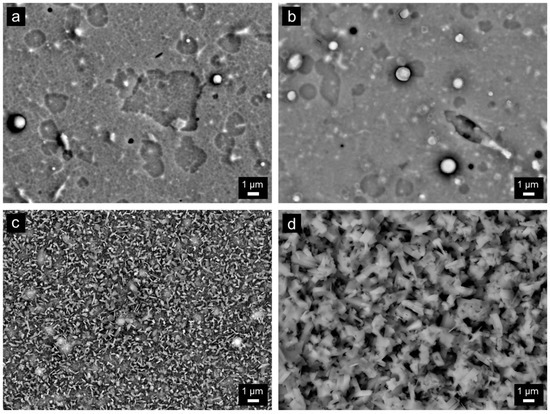 Influence of Isothermal Annealing on Microstructure, Morphology and Oxidation Behavior of ...