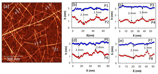 Measuring the Diameter of Single-Wall Carbon Nanotubes Using AFM
