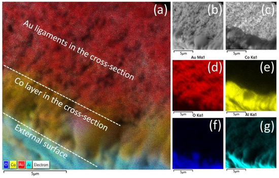 Electroless Cobalt Deposition on Dealloyed Nanoporous Gold Substrate: A ...