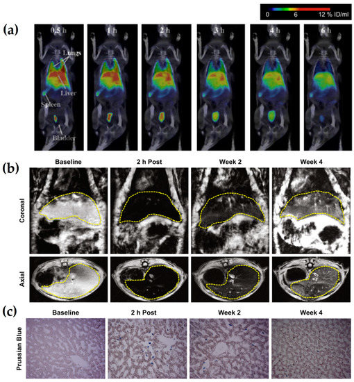 Radiolabeled Iron Oxide Nanoparticles as Dual Modality Contrast Agents ...