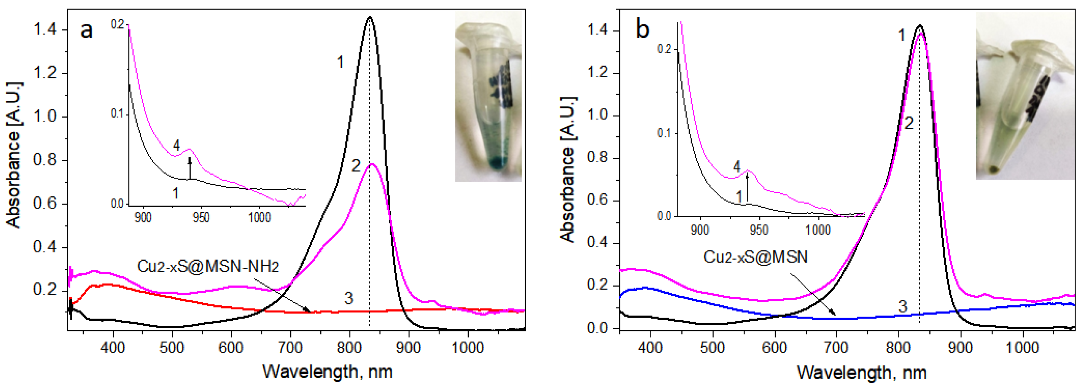 Nanomaterials | Free Full-Text | Assembling Near-Infrared Dye on the ...