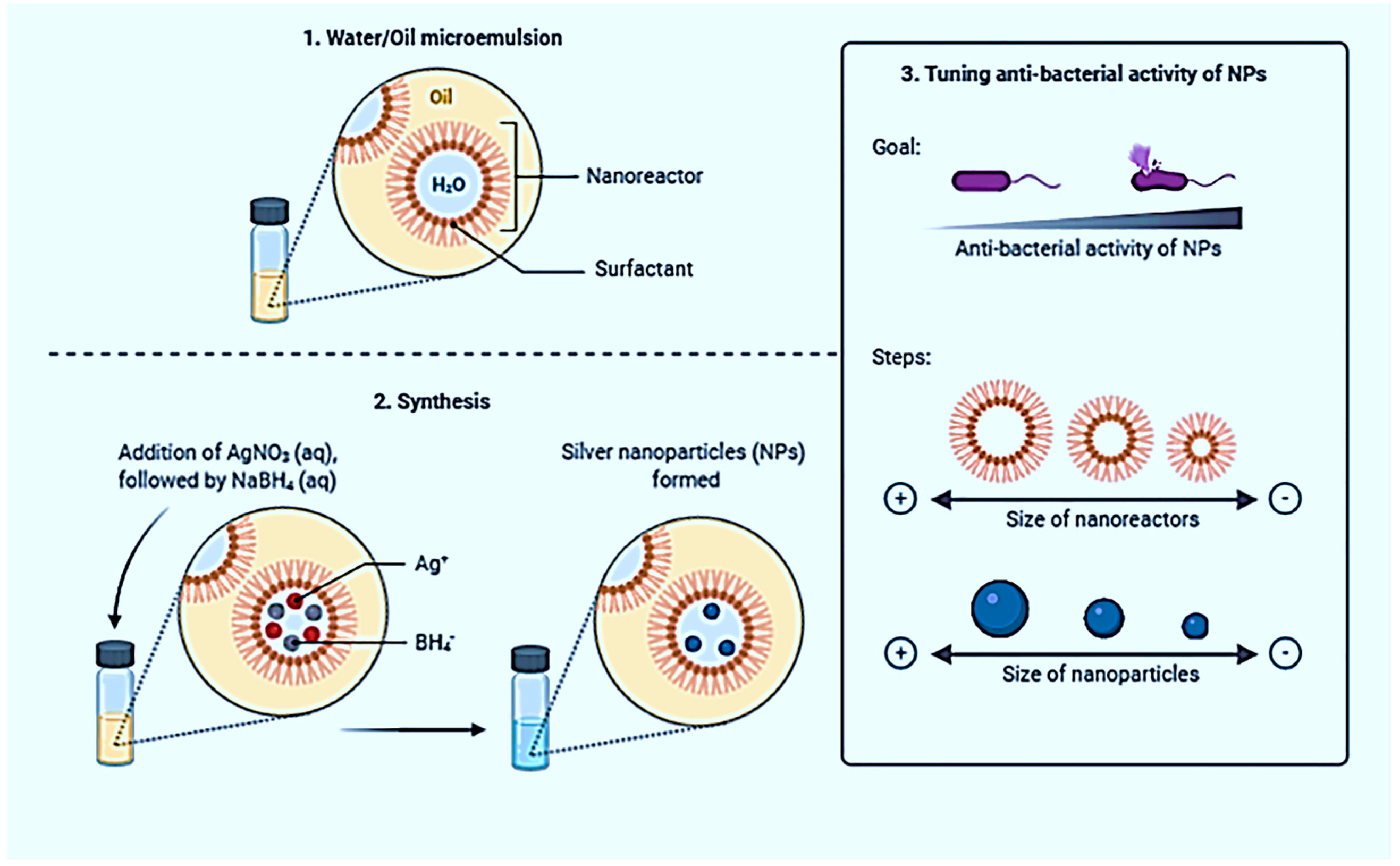 Nanoparticles: Taking a Unique Position in Medicine