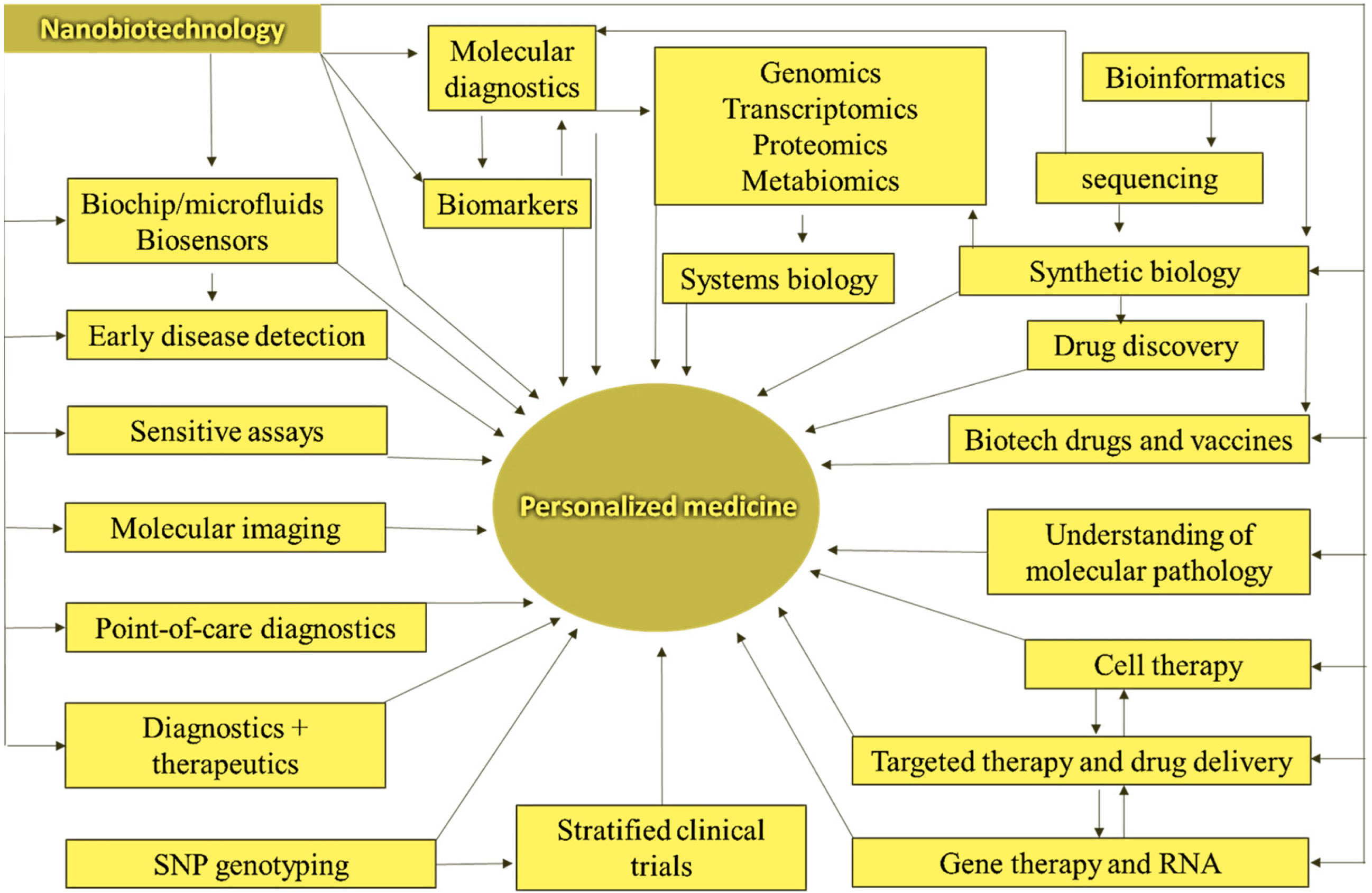 Nanoparticles: Taking a Unique Position in Medicine