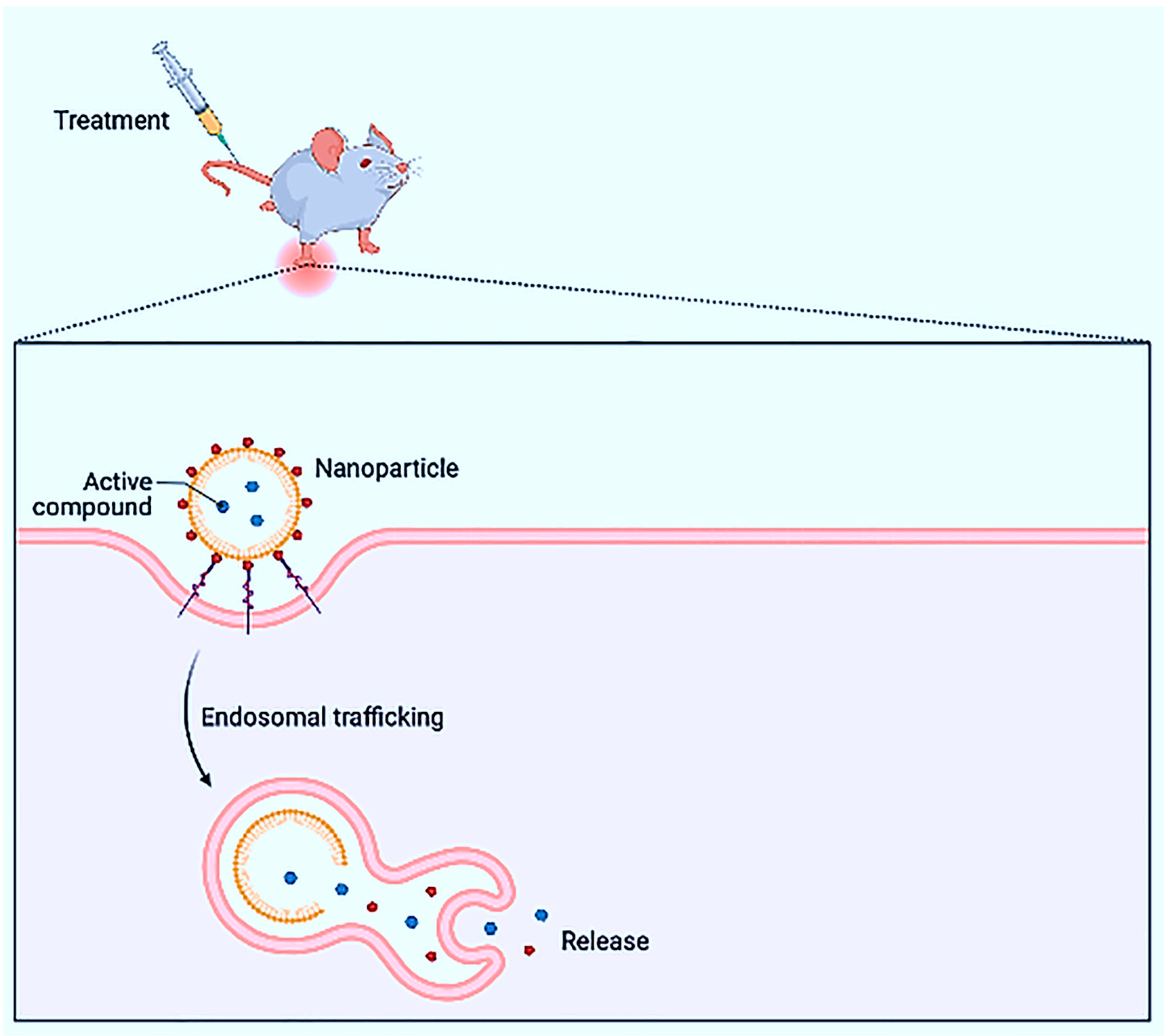 Nanoparticles: Taking a Unique Position in Medicine