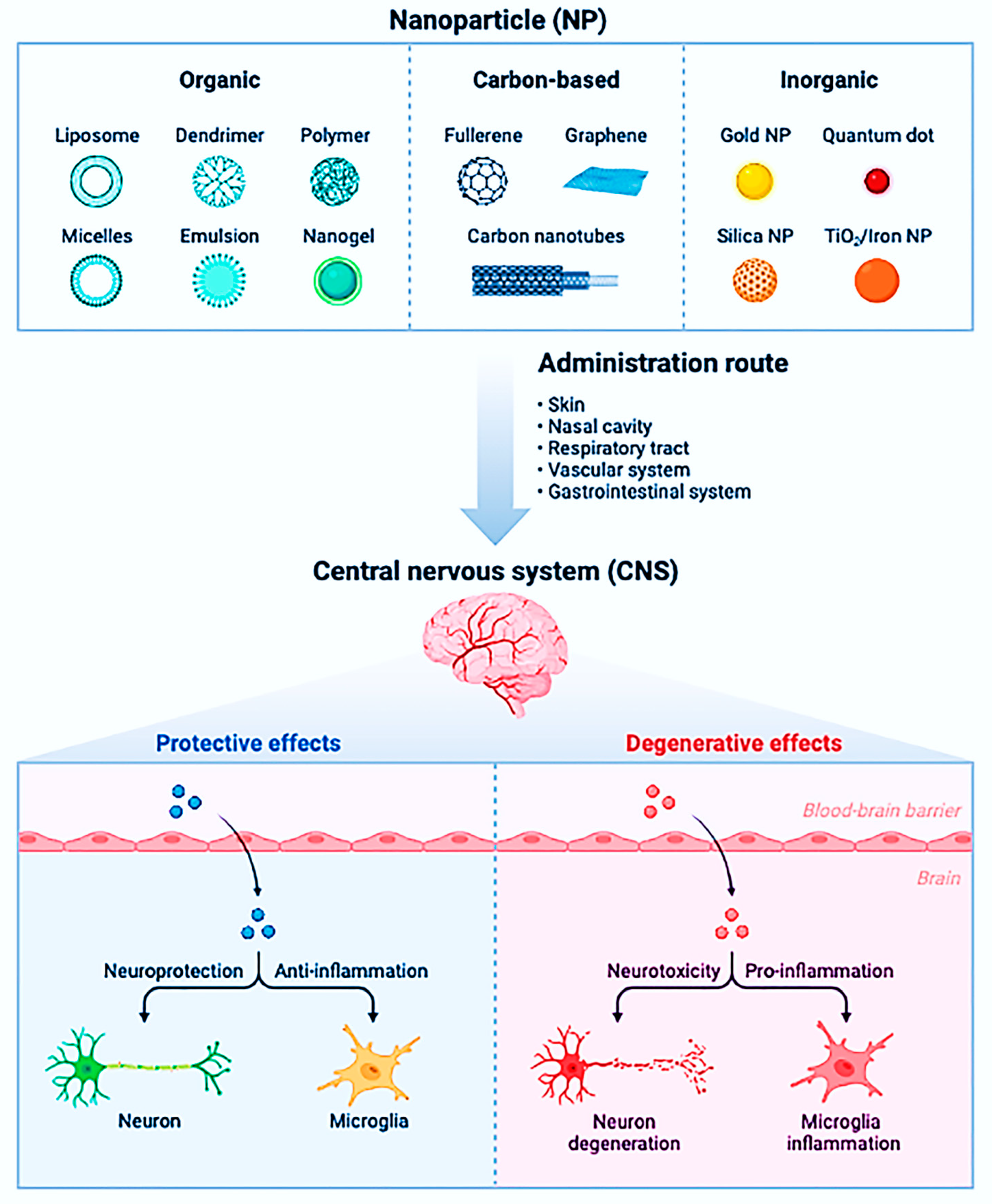 Nanoparticles: Taking a Unique Position in Medicine