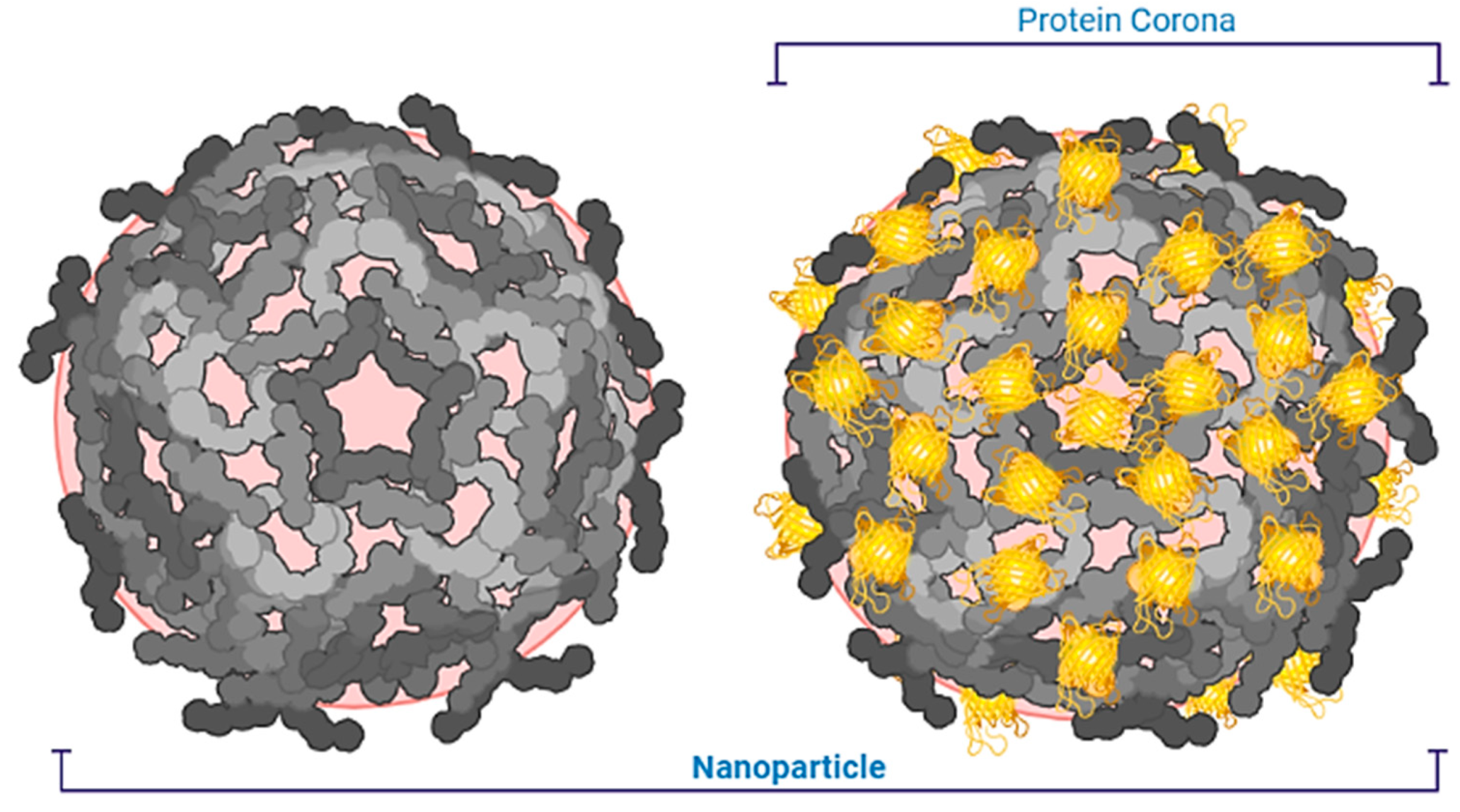 Nanoparticles: Taking a Unique Position in Medicine