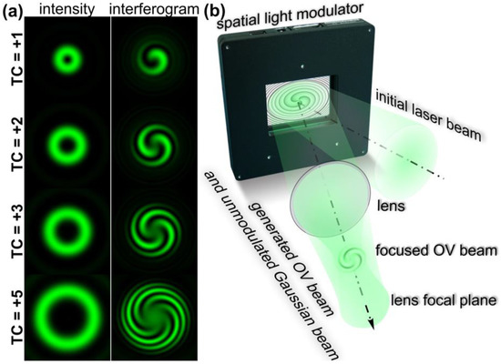 Multi-Spiral Laser Patterning of Azopolymer Thin Films for Generation ...