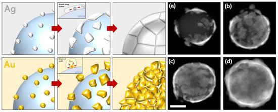 Silver Nanoshells with Optimized Infrared Optical Response: Synthesis ...