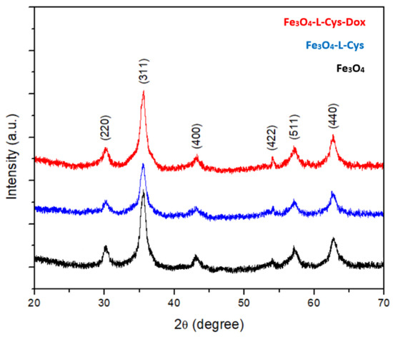 Synthesis and Anti-Melanoma Activity of L-Cysteine-Coated Iron Oxide ...
