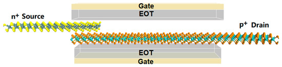 Simulation of a Steep-Slope p- and n-Type HfS2/MoTe2 Field-Effect ...