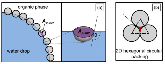 Application of Population Balance Models in Particle-Stabilized Dispersions