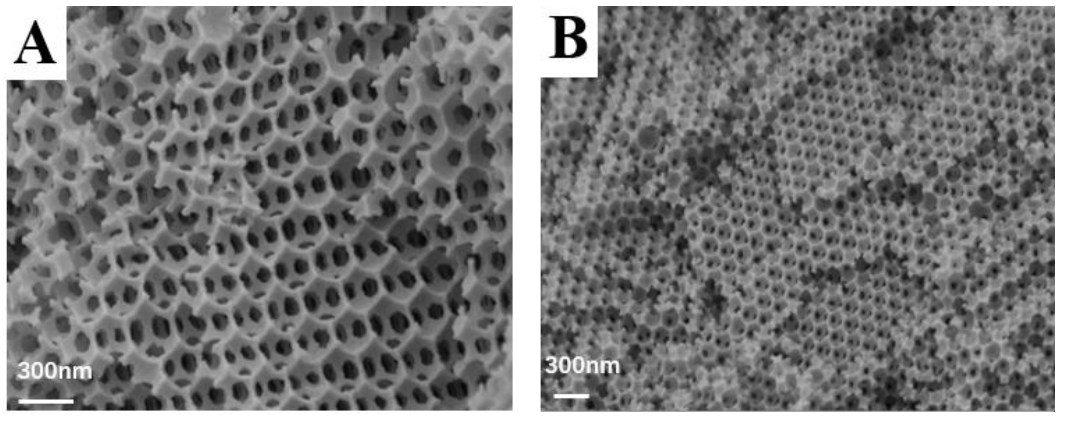 Ordered Hierarchical Porous Structure of PtSn/3DOMM-Al2O3 Catalyst for Promoting Propane Non ...