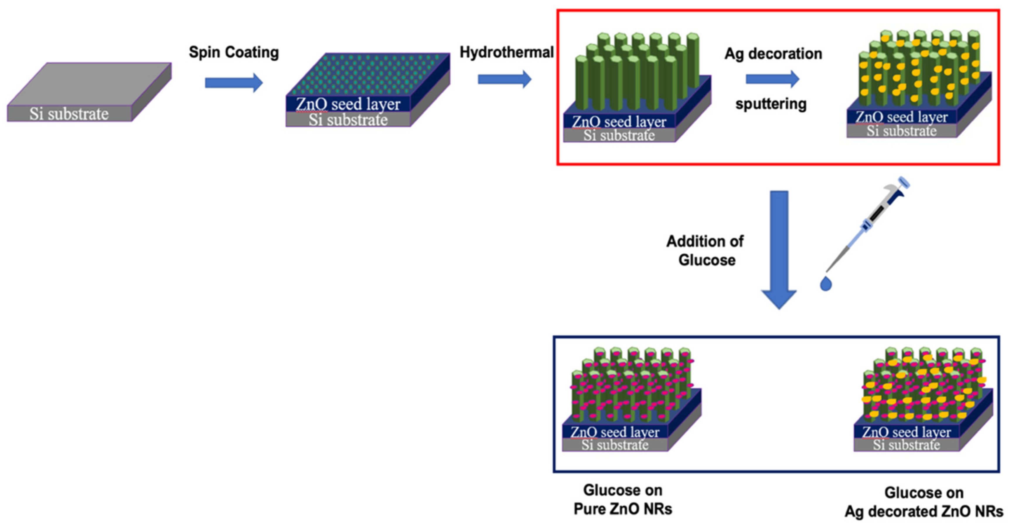 Ag-Decorated Vertically Aligned ZnO Nanorods for Non-Enzymatic Glucose Sensor Applications