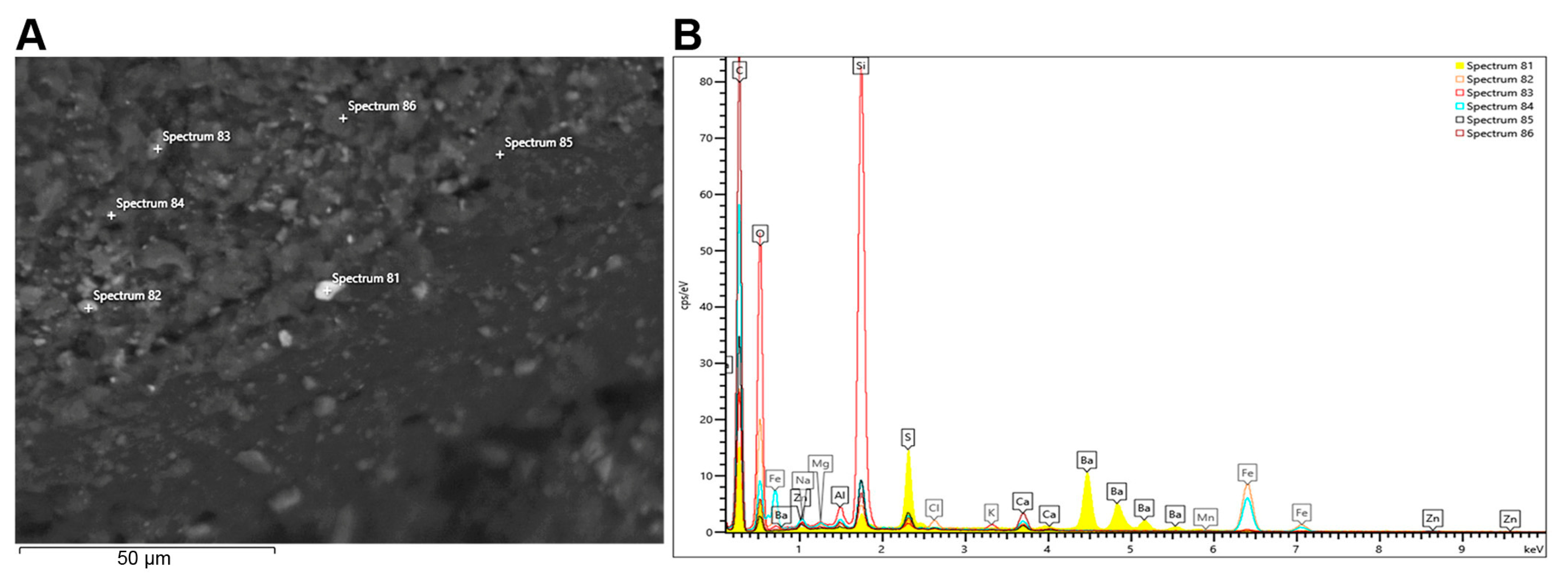 Particle Debris Generated from Passenger Tires Induces Morphological ...