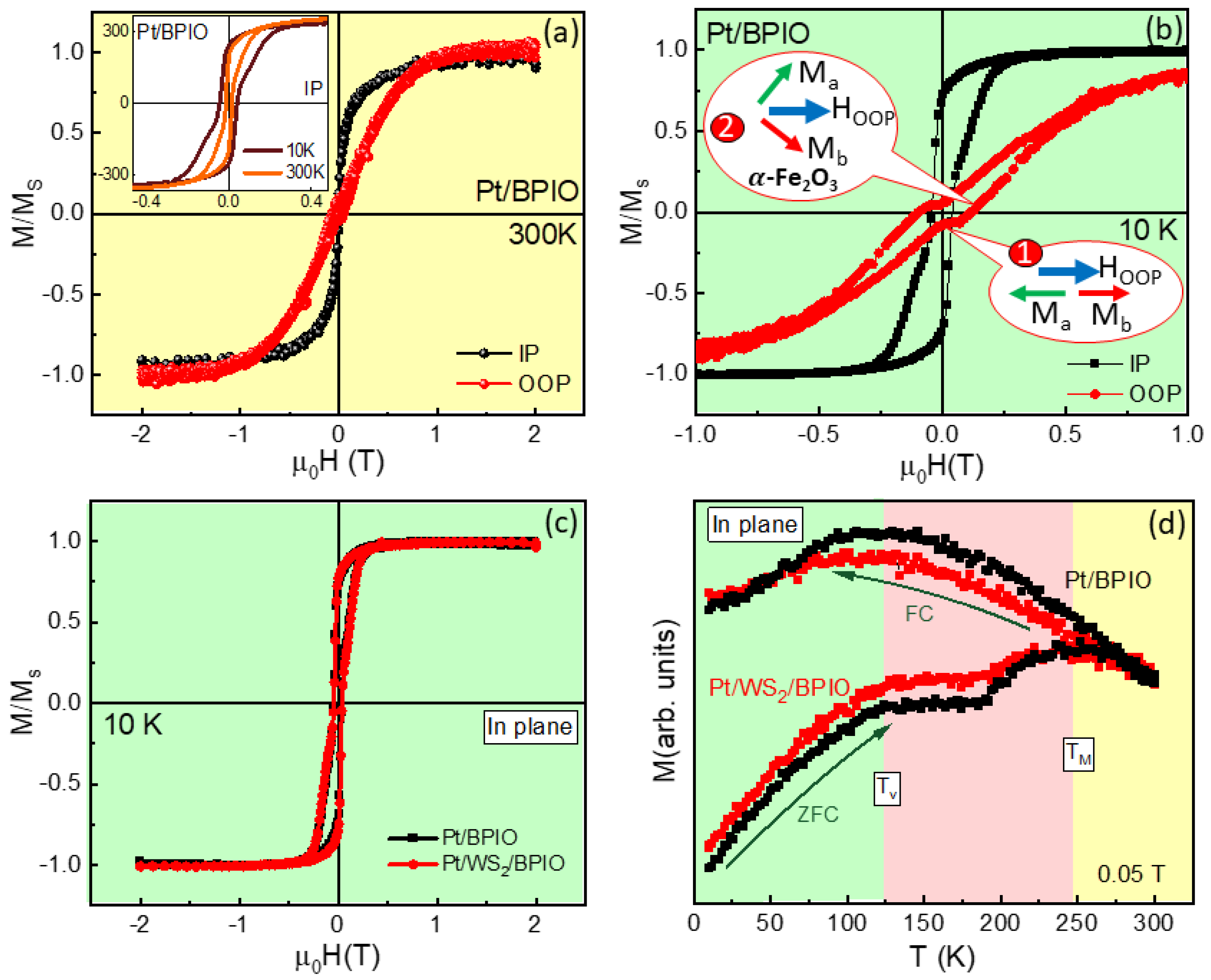 Enhanced Magnetism and Anomalous Hall Transport through Two-Dimensional ...