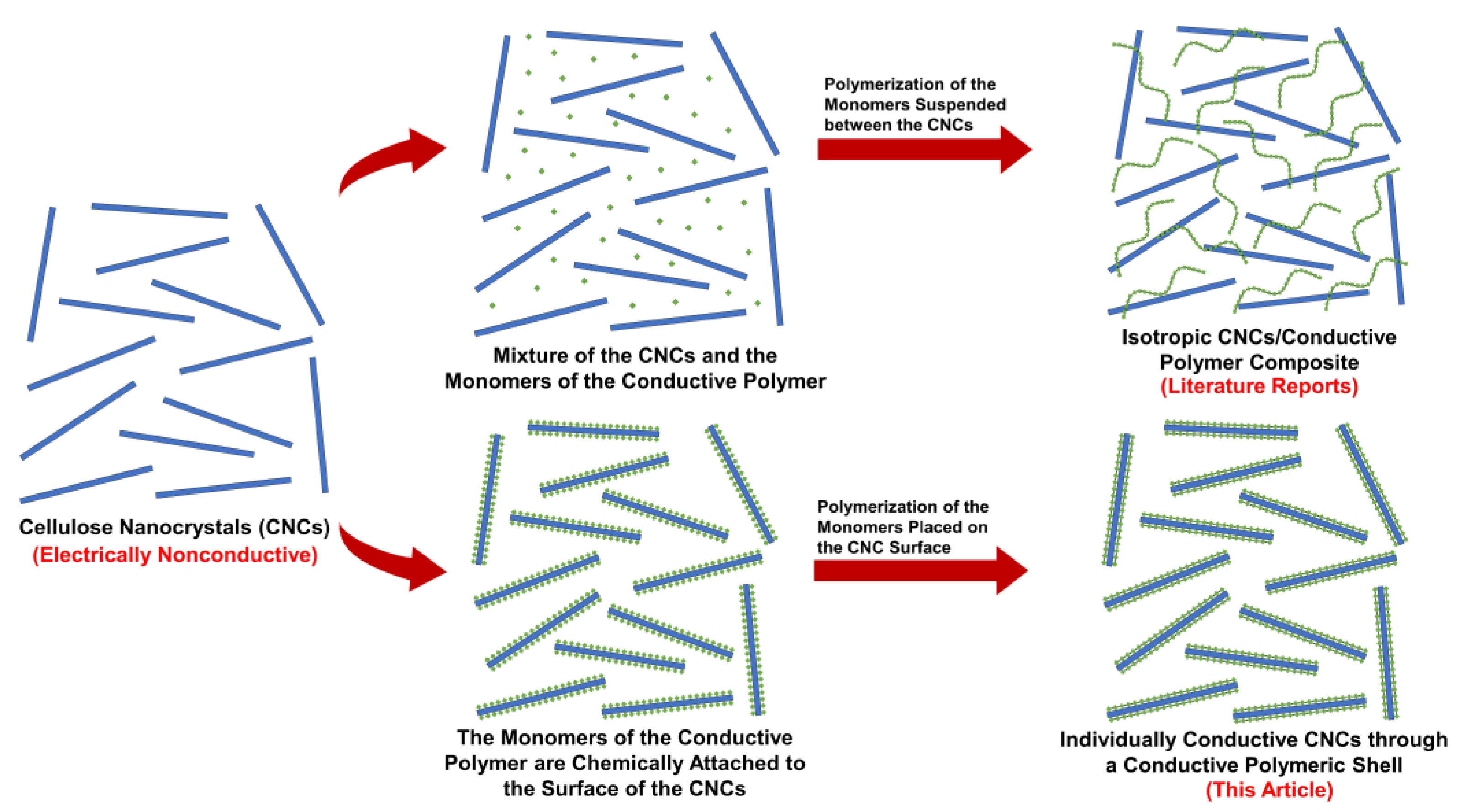Novel Electrically Conductive Cellulose Nanocrystals with a Core-Shell ...