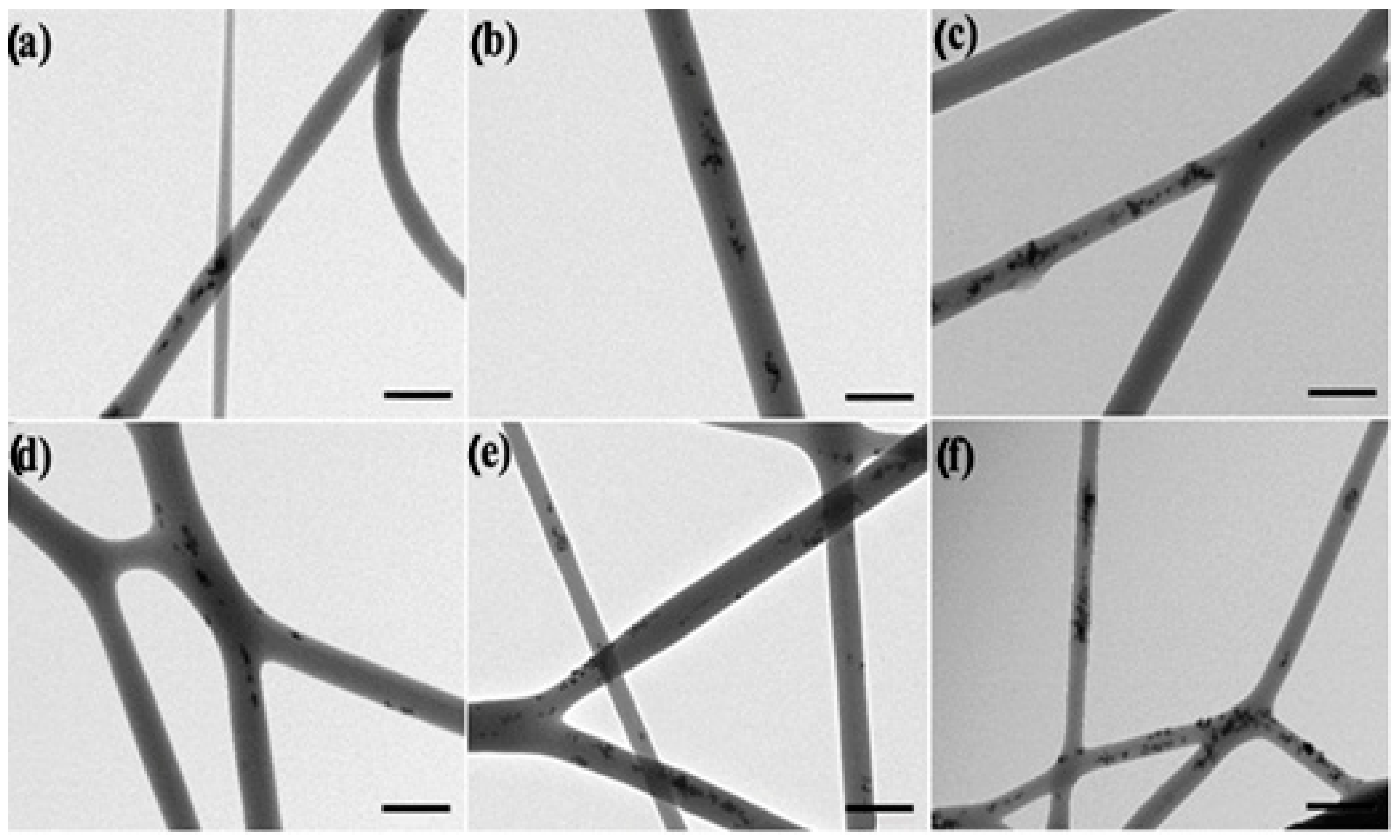 Development and Characterization of Electrospun Poly(3-hydroxybutyrate-co-3-hydroxyvalerate ...