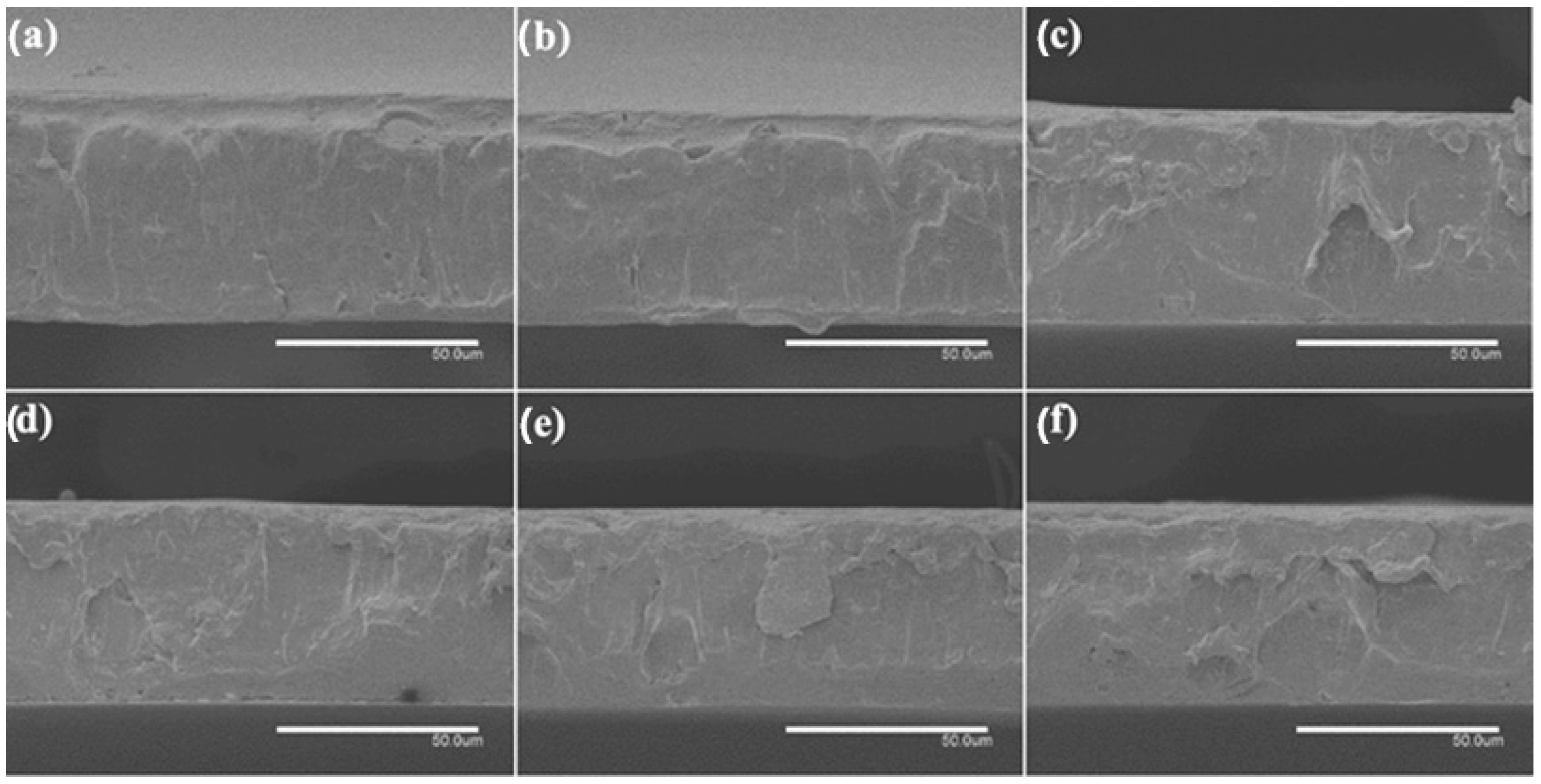 Development and Characterization of Electrospun Poly(3-hydroxybutyrate-co-3-hydroxyvalerate ...