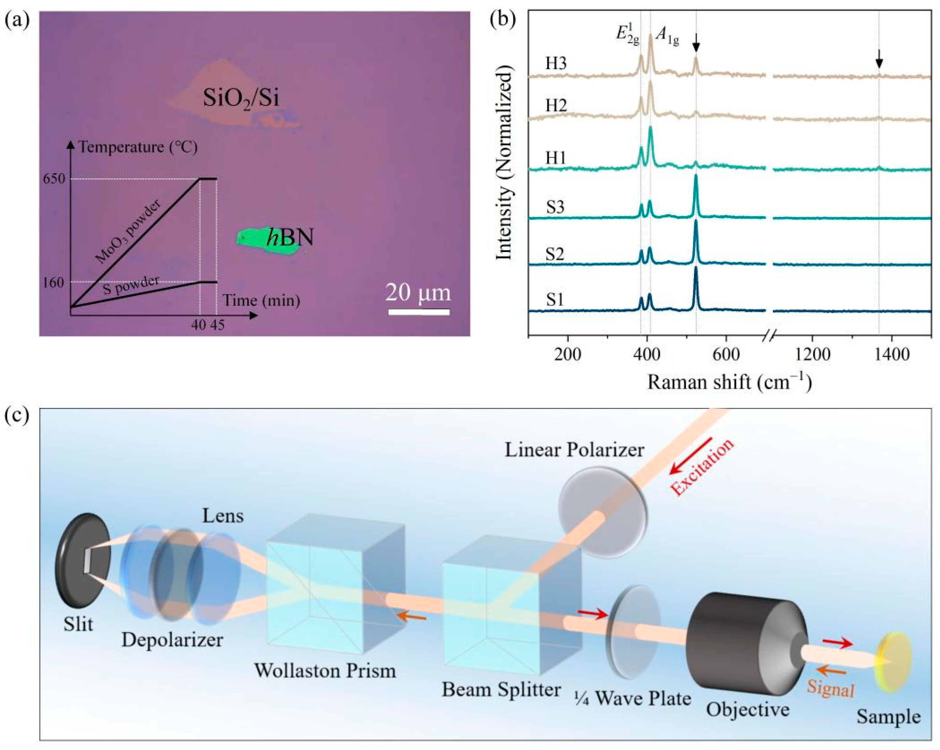 Interface Engineering Modulated Valley Polarization in MoS2/hBN ...