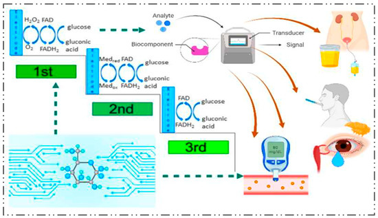 A Nanotechnology-Based Approach to Biosensor Application in Current ...