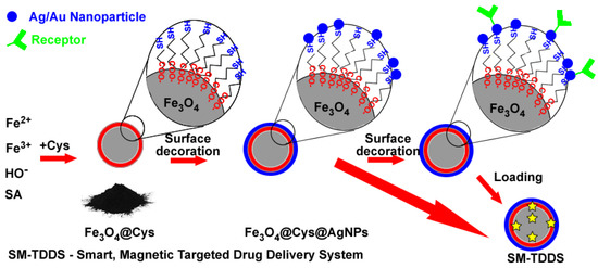 Smart Magnetic Drug Delivery Systems for the Treatment of Cancer