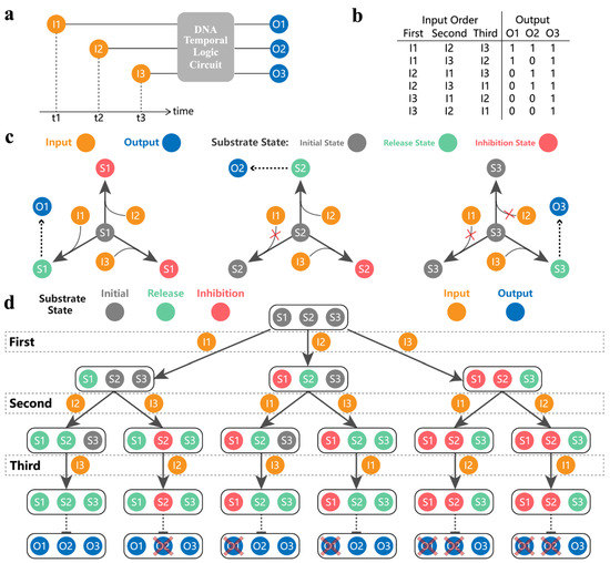 Mapping Temporally Ordered Inputs to Binary Message Outputs with a DNA ...