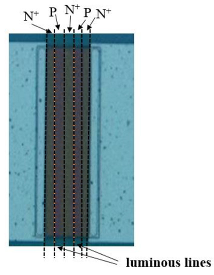 All-Silicon Photoelectric Biosensor on Chip Based on Silicon Nitride ...