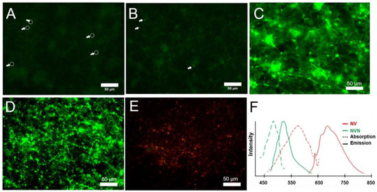Clot Imaging Using Photostable Nanodiamond