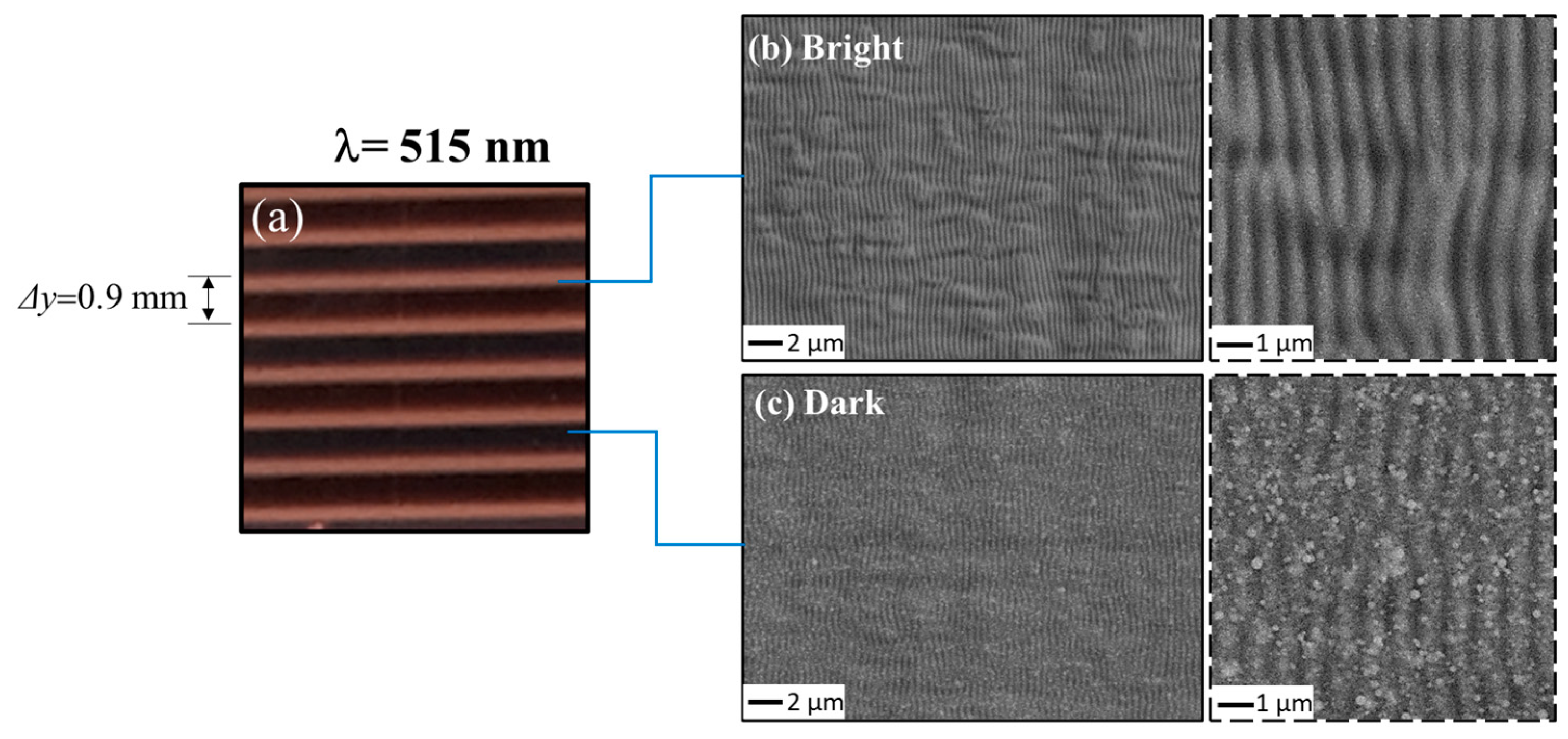 Periodic Surface Structuring of Copper with Spherical and Cylindrical ...