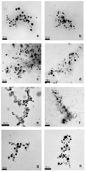 Green Synthesis of Silver Nanoparticles and Its Combination with ...