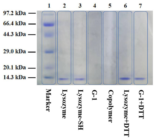 Synthesis and Self-Assembly of Hyperbranched Multiarm Copolymer ...