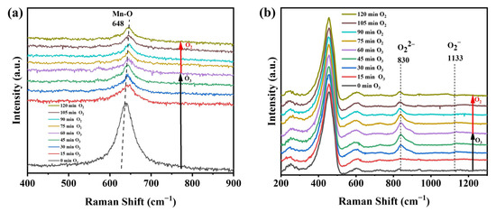 Insights into the Role of Nanorod-Shaped MnO2 and CeO2 in a Plasma ...