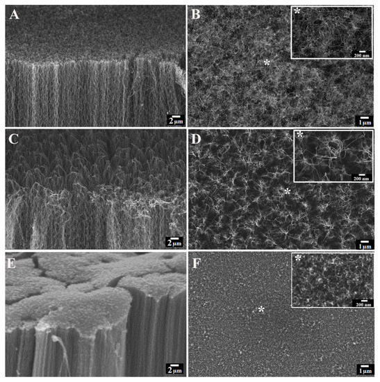 Nanomaterials | Free Full-Text | Plasma-Etched Vertically Aligned CNTs ...