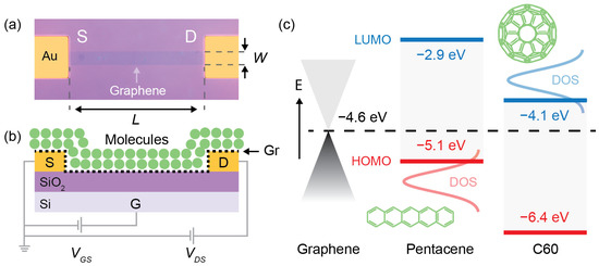 The Effect of C60 and Pentacene Adsorbates on the Electrical Properties ...