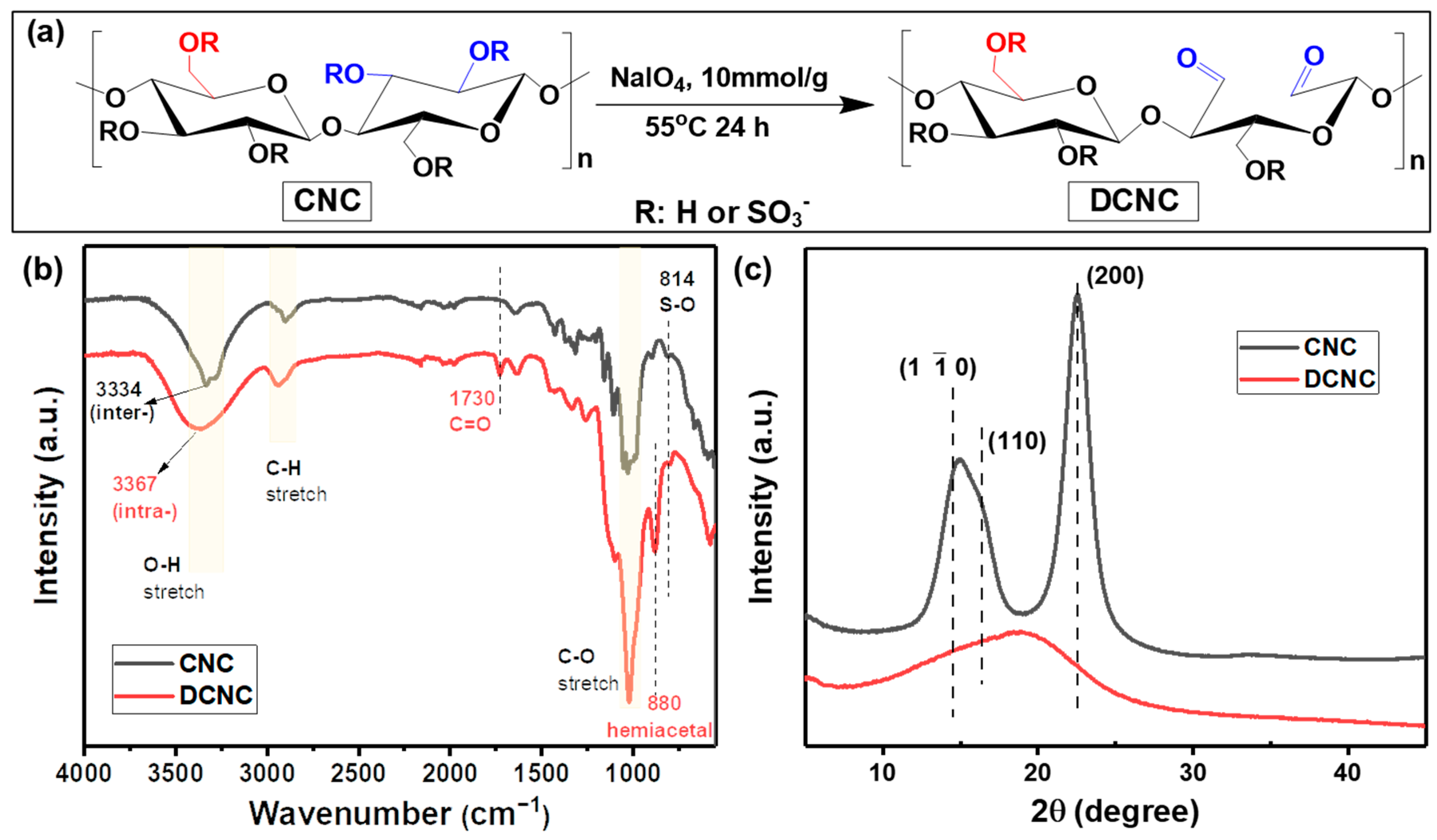 Sodium Alginate–Aldehyde Cellulose Nanocrystal Composite Hydrogel for ...