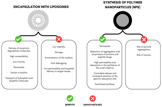 Encapsulated Peptides and Proteins with an Effect on Satiety