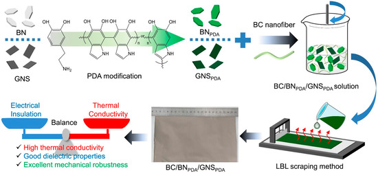 Dopamine-Mediated Graphene Bridging Hexagonal Boron Nitride for Large ...