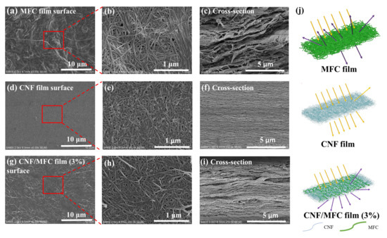 All-Tunicate Cellulose Film with Good Light Management Properties for ...