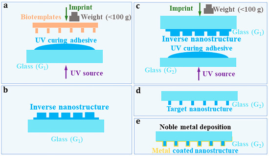 Bionic Plasmonic Nanoarrays Excited by Radially Polarized Vector Beam for Metal-Enhanced ...