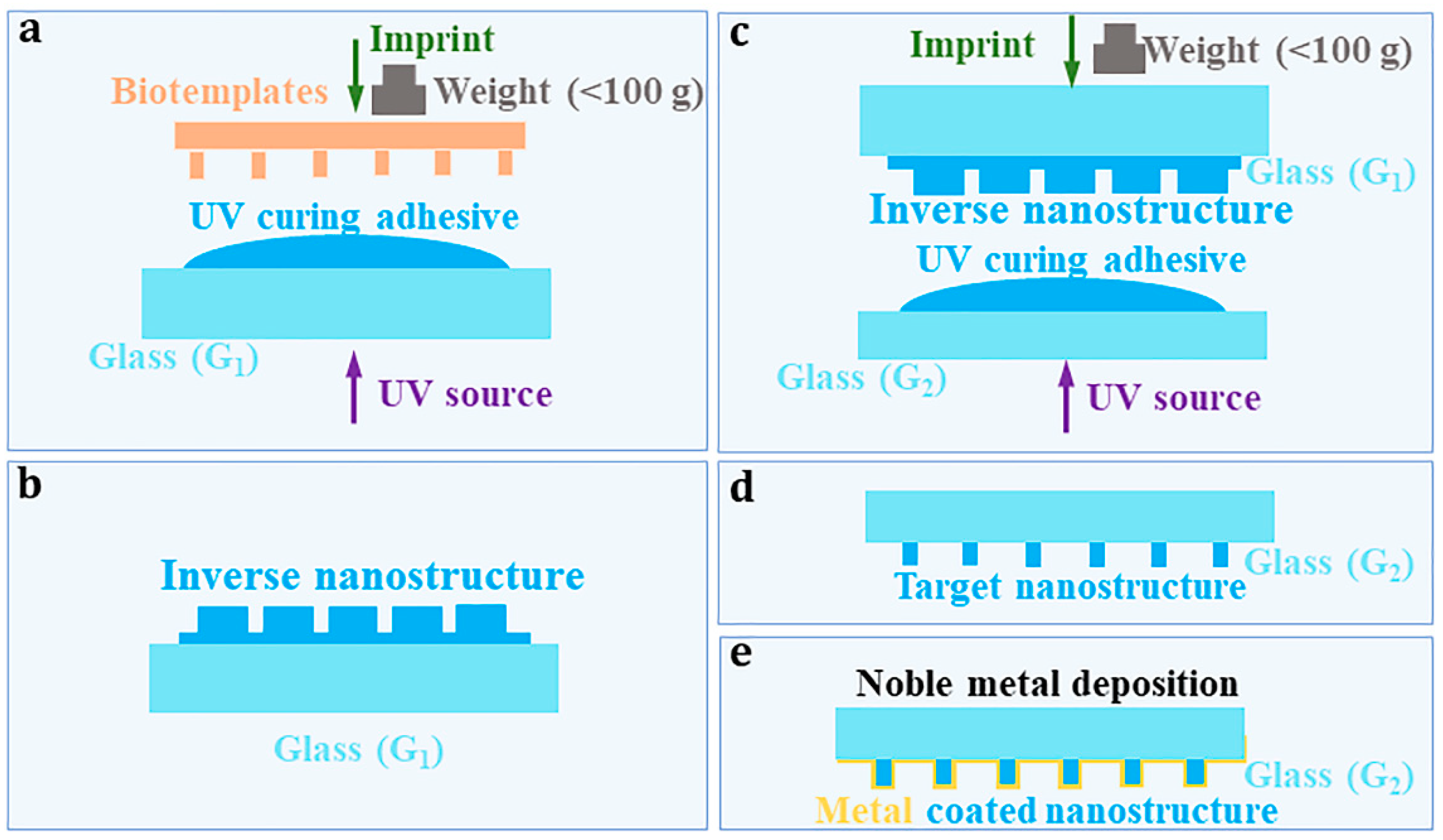 Bionic Plasmonic Nanoarrays Excited by Radially Polarized Vector Beam for Metal-Enhanced ...