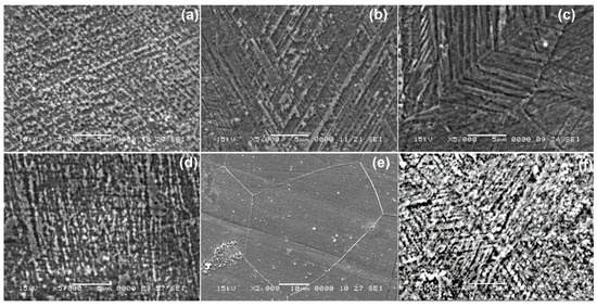 Heat Treatment and Dynamic Mechanical Analysis Strain Sweep Effects on ...