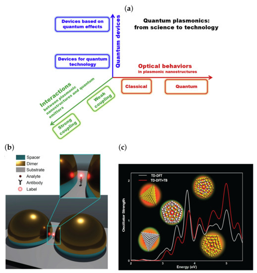 Optical Processes behind Plasmonic Applications