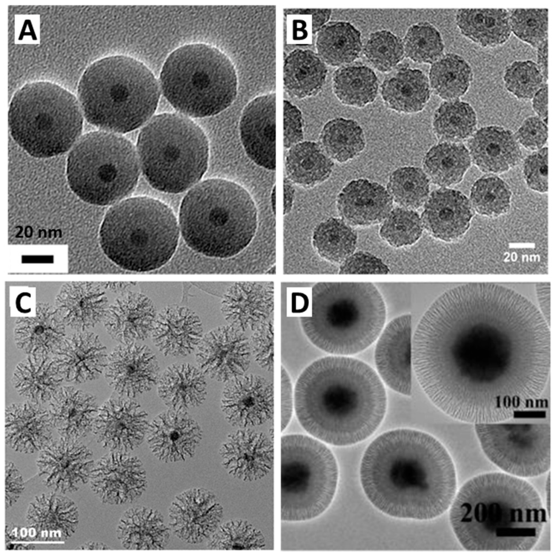 Nanomaterials | Free Full-Text | Iron Oxide@Mesoporous Silica Core-Shell Nanoparticles as ...